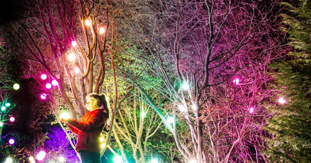 LUMA SOUTHERN LIGHT PROJECT - Events » Glenorchy Community