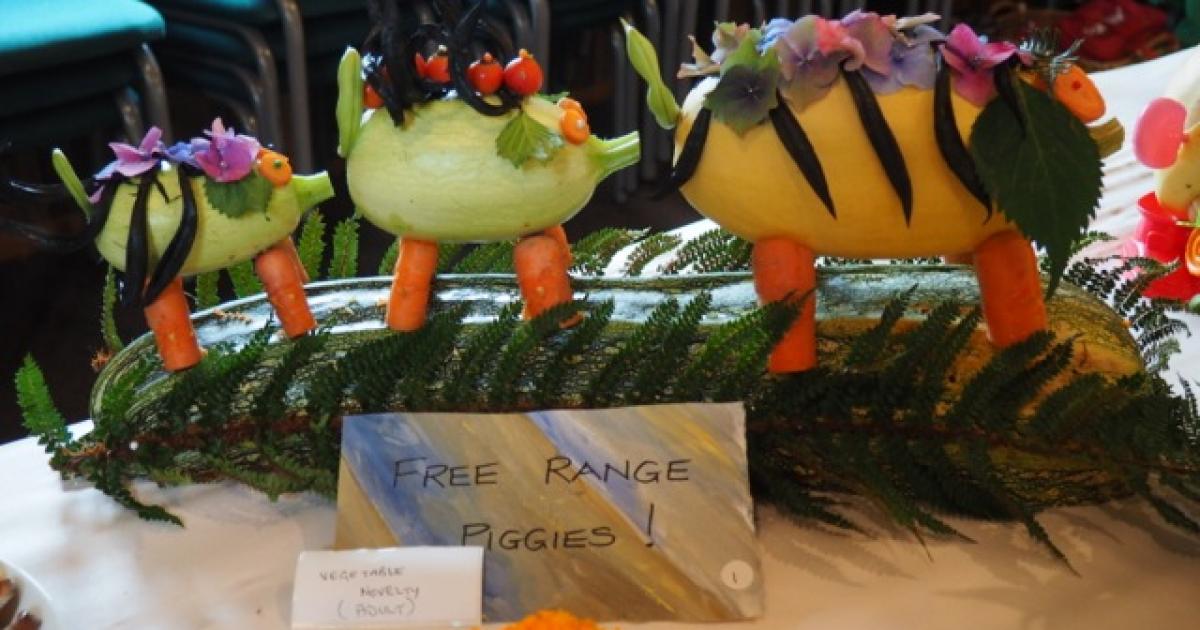HARVEST FESTIVAL PRIZE TABLES & PHOTOS » March, 2016 » Glenorchy Community