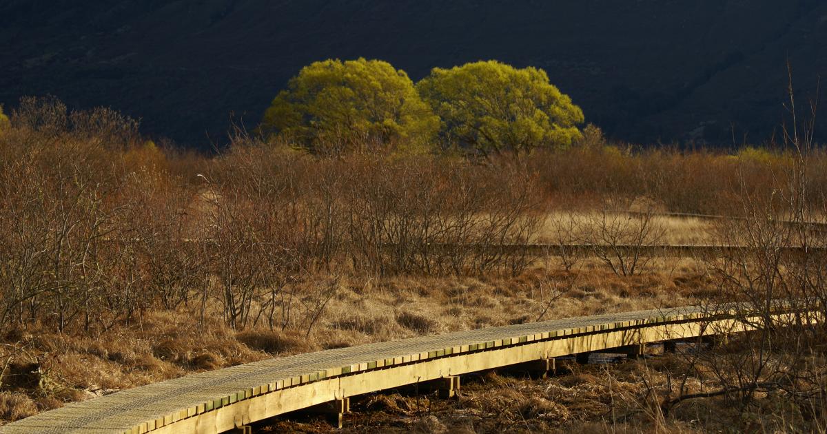 COMMUNITY ORGANISATION GRANTS SCHEME (COGS) UPDATE » April, 2016 ...